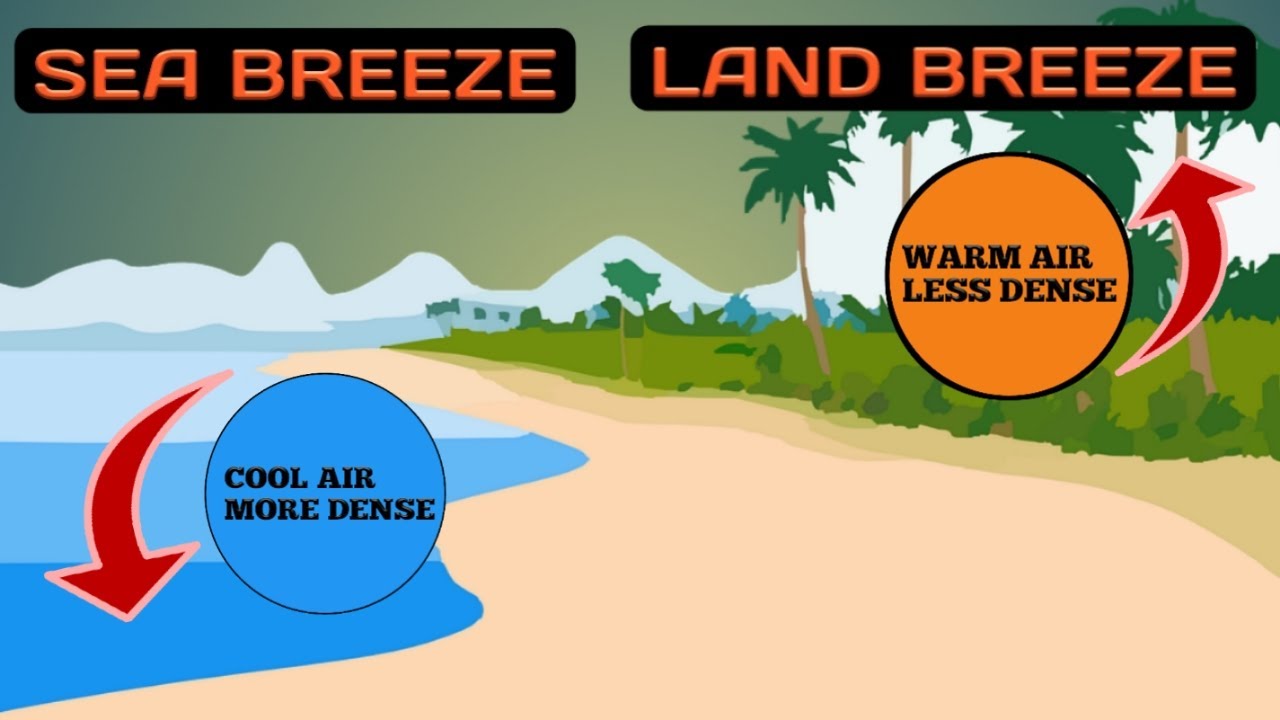 Sea breeze and land breeze | Specific heat capacity | Convection | Air ...