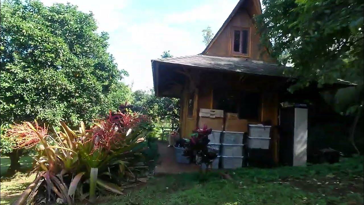 Kapaa bike path Part 9 Day 95 - YouTube