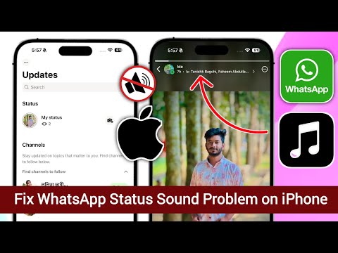 How To Fix WhatsApp Status Sound Problem on iPhone | WhatsApp Status No Sound Fix 