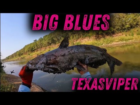 2 BIG BLUE CATFISH IN ALLIGATOR GAR SPOT | TRINITY RIVER DALLAS - YouTube