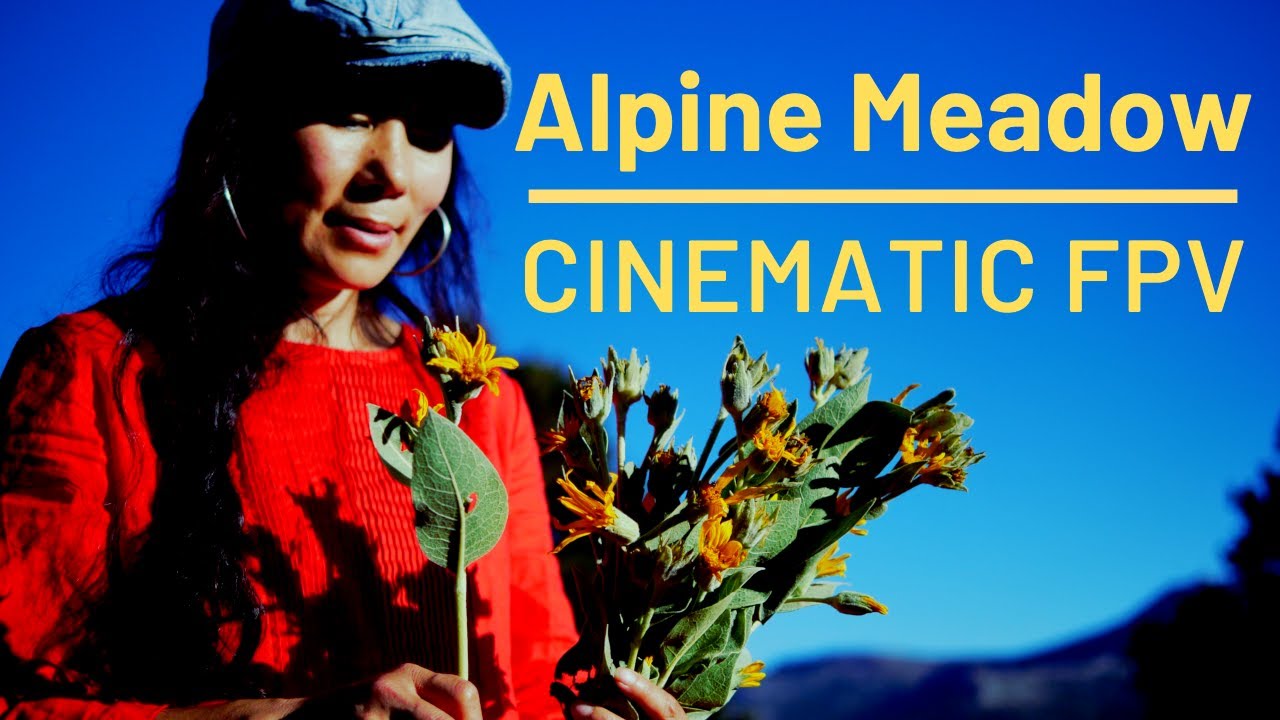 Alpine Meadow - Tahoe Area California - Cinematic FPV Drone [4K] - YouTube