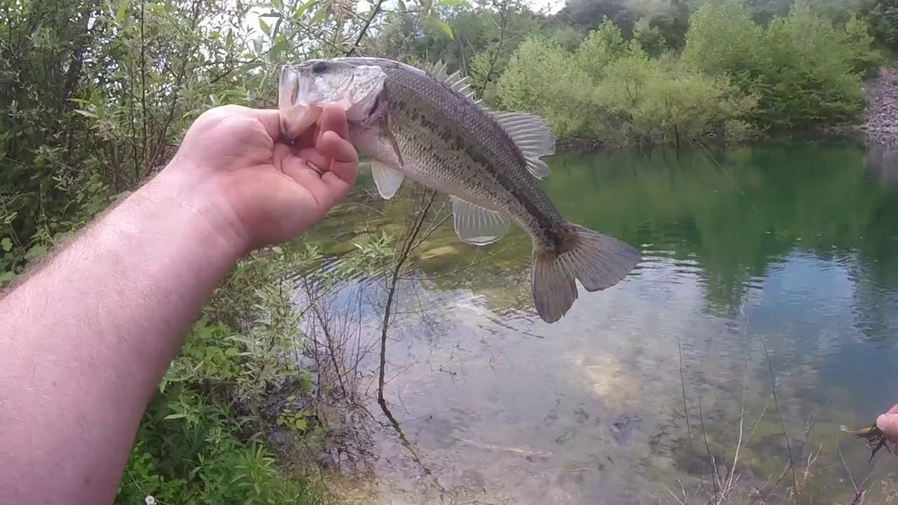 Bass Fishing Backwoods Pond - YouTube