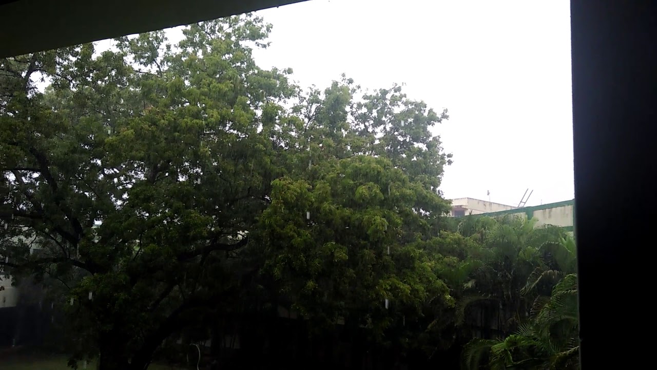 Pmt college - YouTube