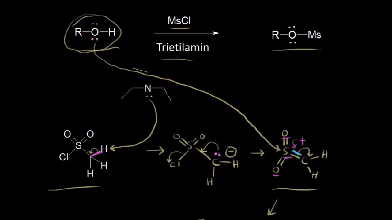 Mesilat ve Tosilat Oluşumu (Fen Bilimleri) (Organik Kimya) - YouTube