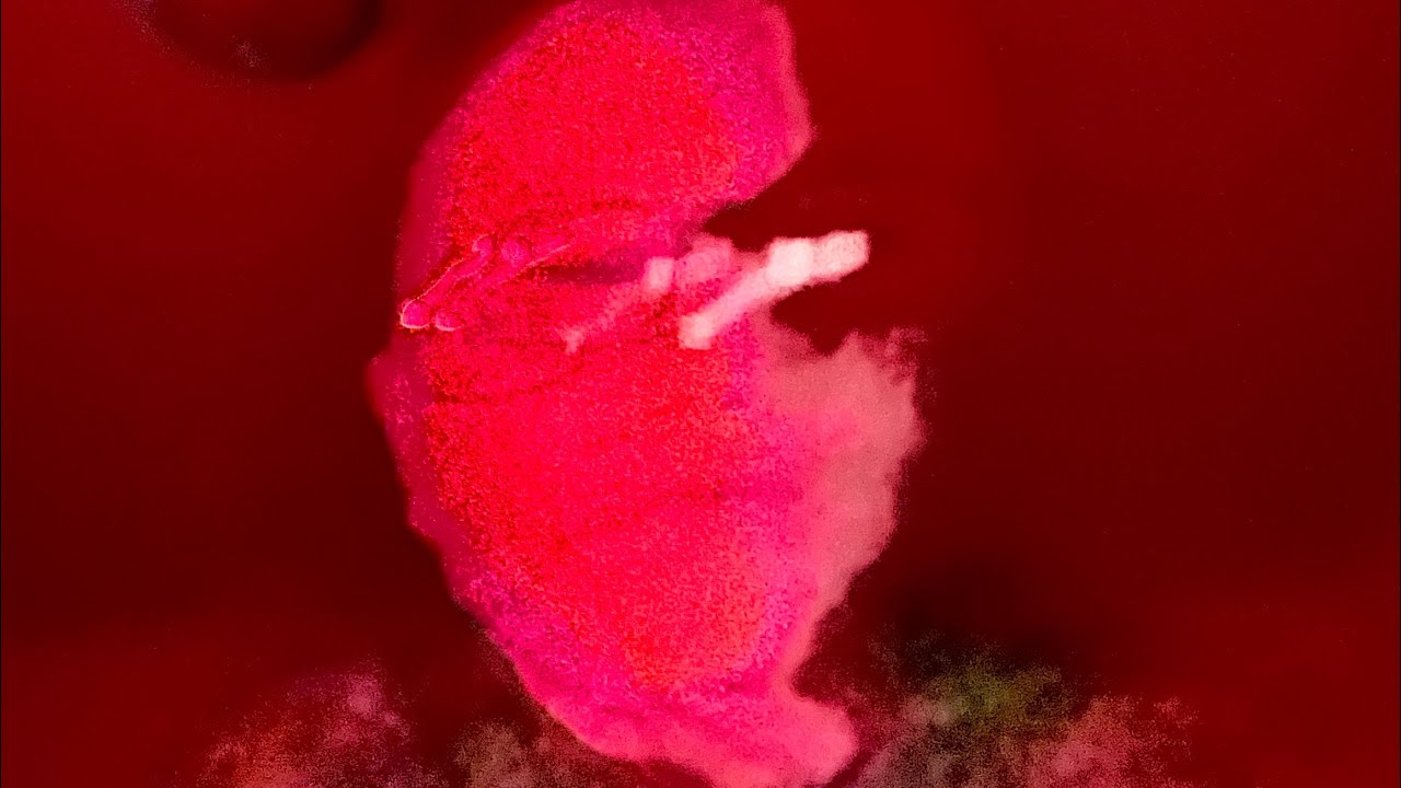 Killing Machine. Trailer - YouTube