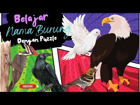 Mengenal burung dengan bermain puzzle - YouTube