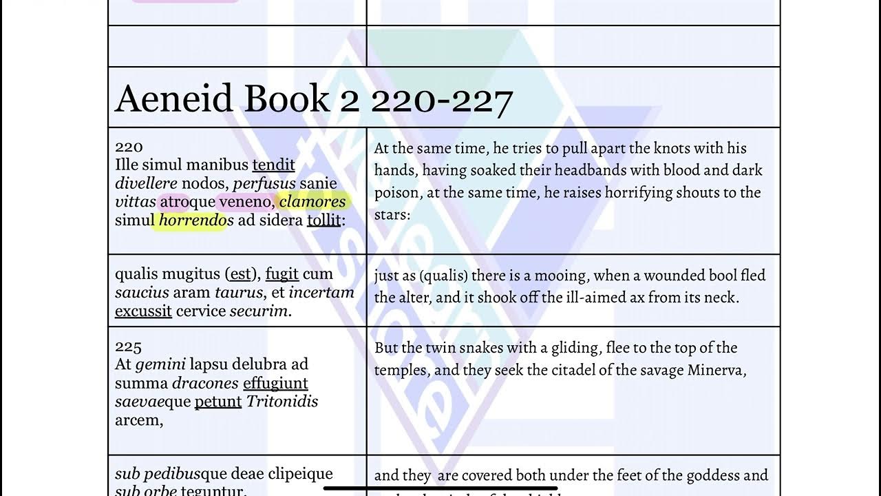 [AP Latin] Aeneid Book 2 220-227 translation - YouTube