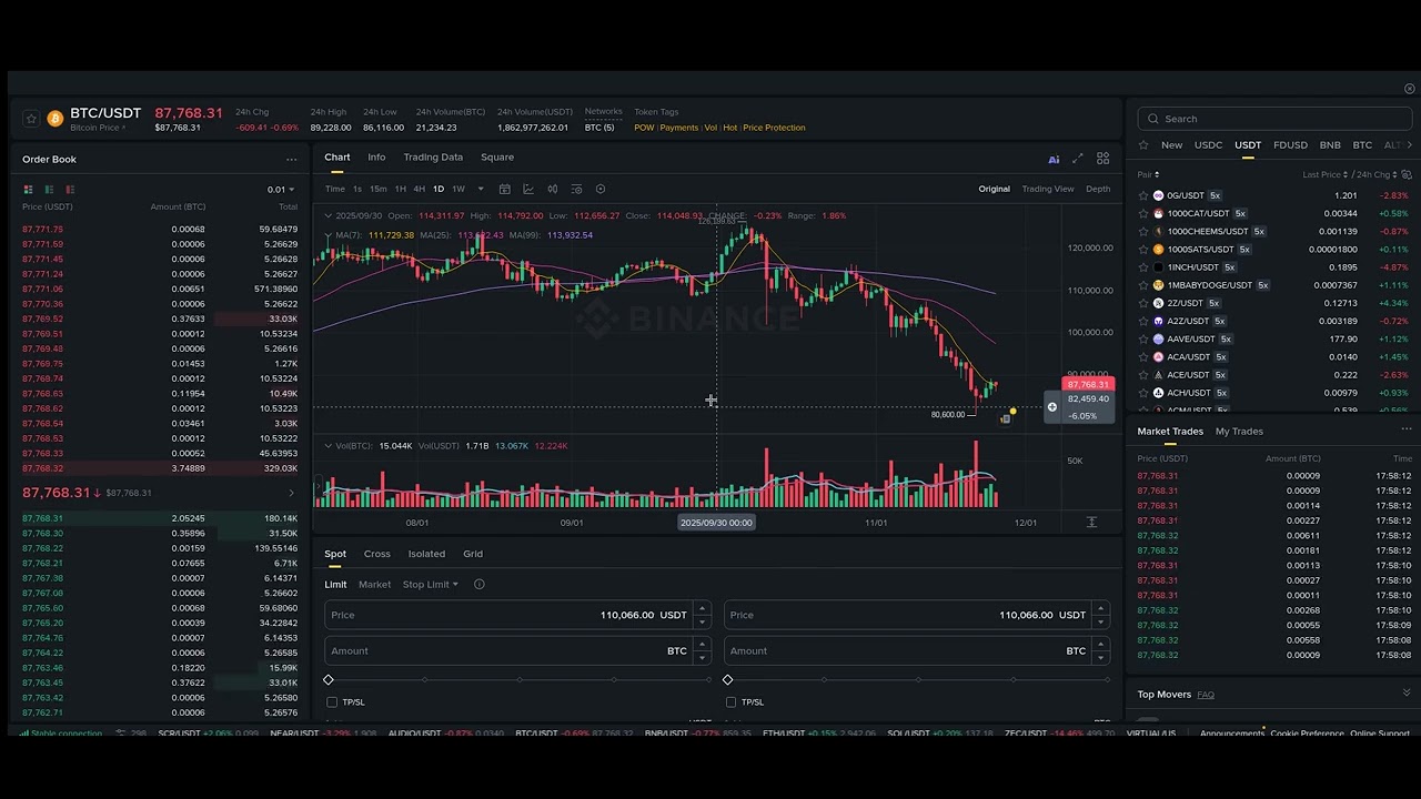 LIVE BTC/USDT CHART: Real-Time Bitcoin Price Tracker (Current Market ...