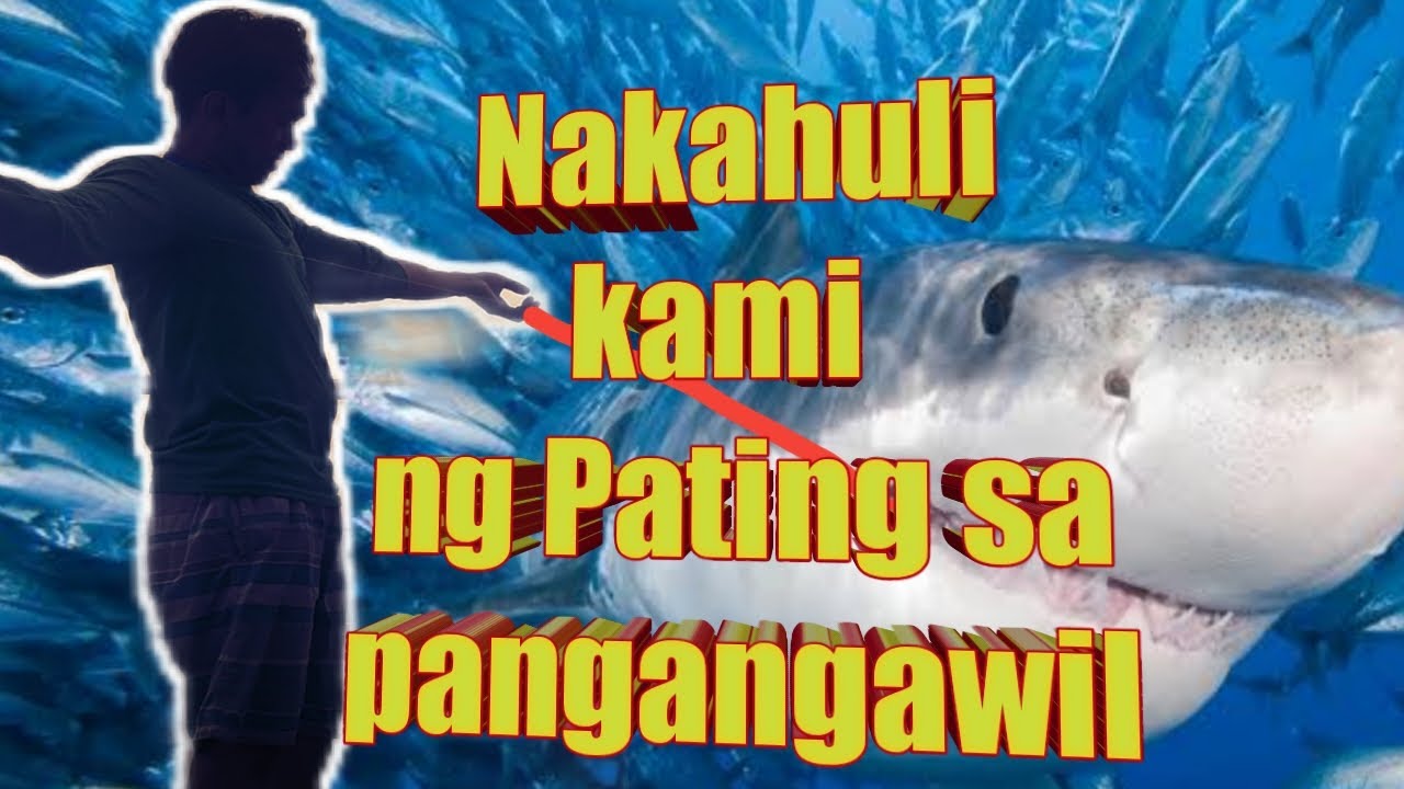 Seaman Vlog / Pating sa karagatan na bingwit / Wild Animal at Sea ...
