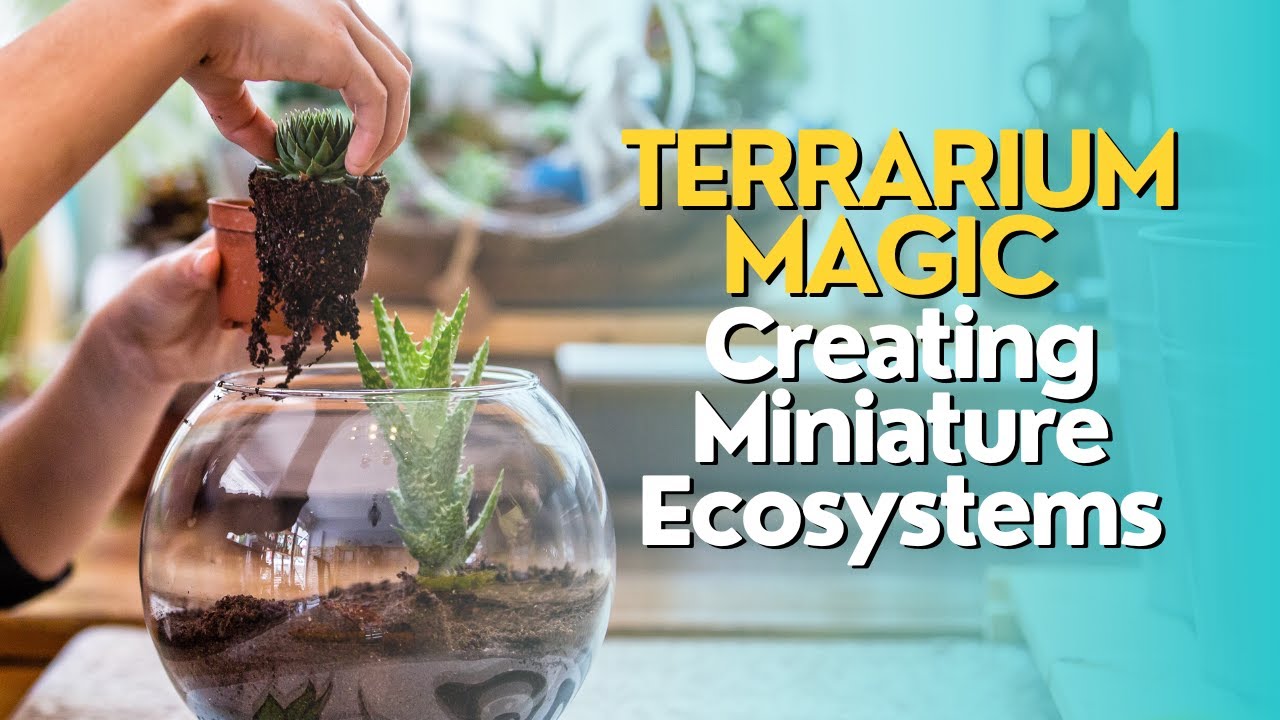 Terrarium Magic: Creating Miniature Ecosystems - YouTube