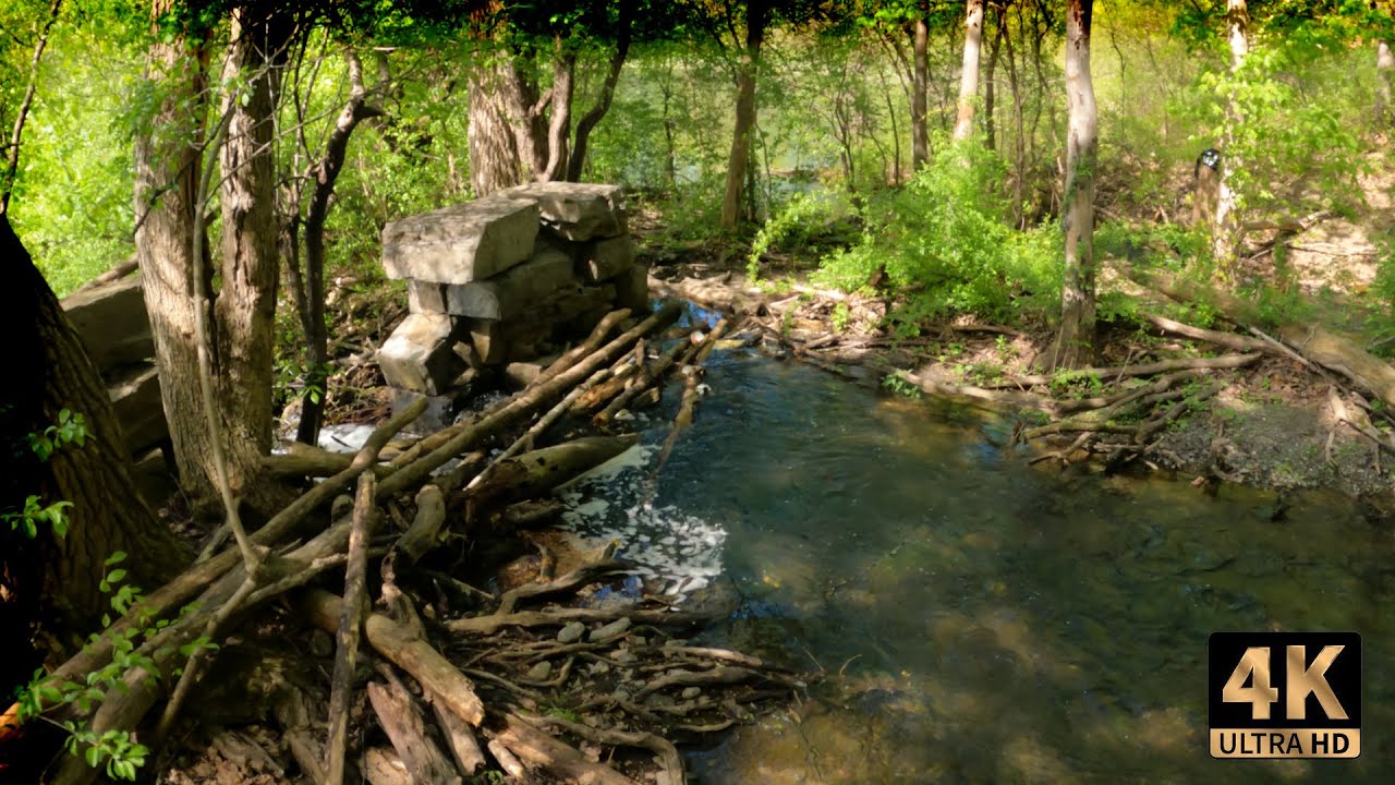 Clearing the blockage from a stream outlet at a local reservoir. 4K ...