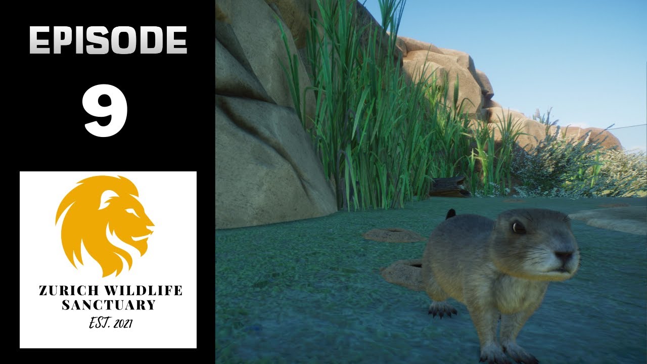 Realistic Prairie Dog Habitat | Zurich Wildlife Sanctuary EP 8 | Planet ...