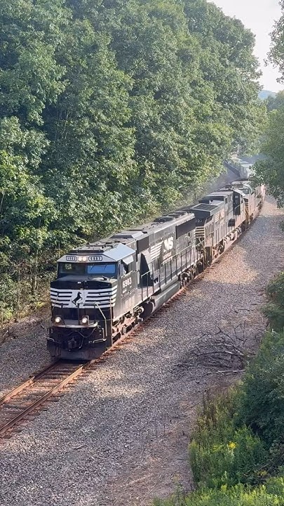 NS 6983 going under the bridge - YouTube