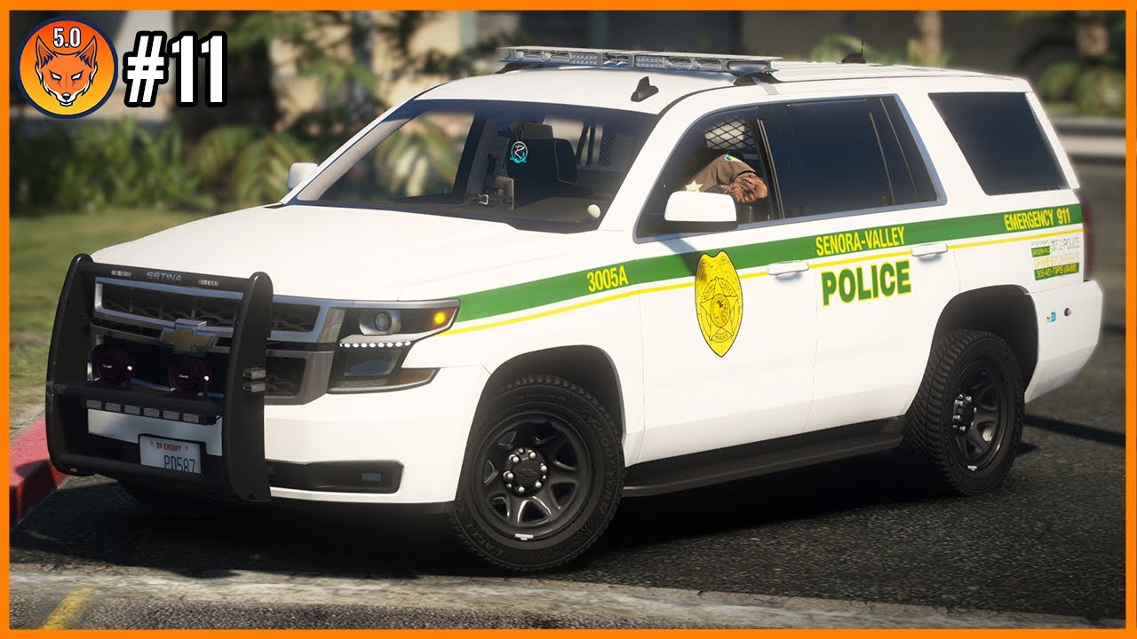 AN AMAZING PATROL - GTA 5 Police RP (FiveM) - MLRP #11 - YouTube