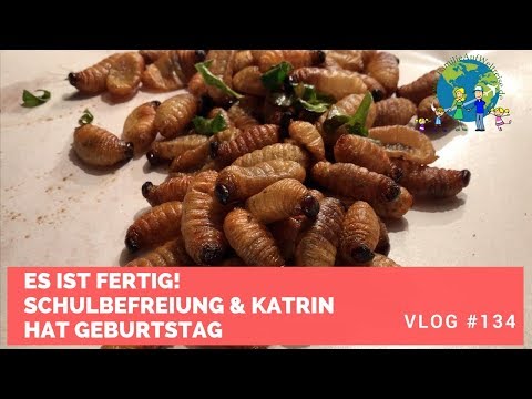 Es ist fertig! | VLOG #134