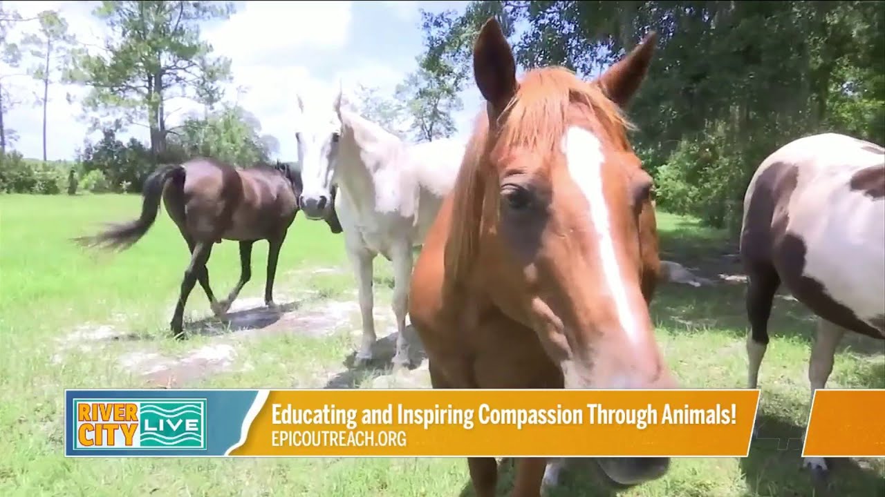 EPIC Outreach Farm | River City Live - YouTube