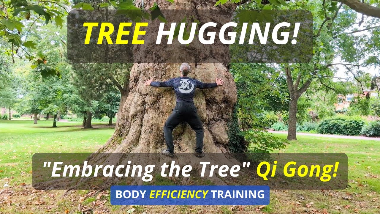 The Benefits of TREE HUGGING! #forestbathing #qigong #shaman - YouTube