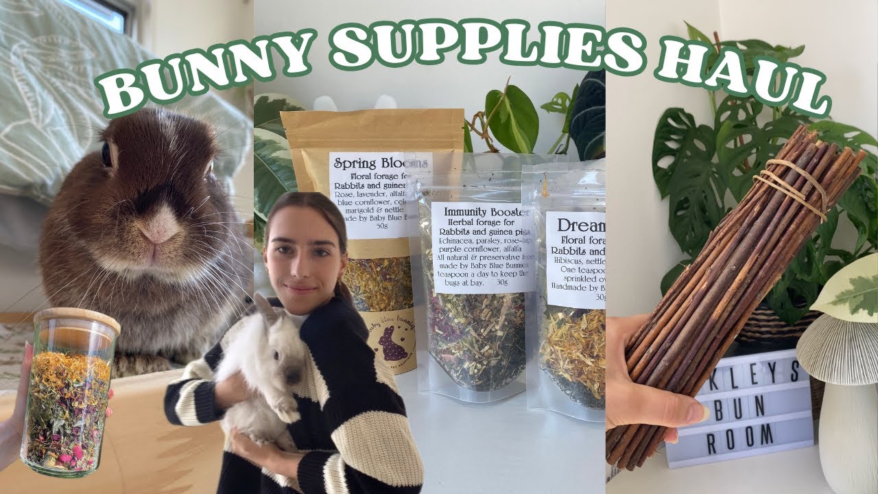 Bunny supplies haul | restock with me 🌿 - YouTube