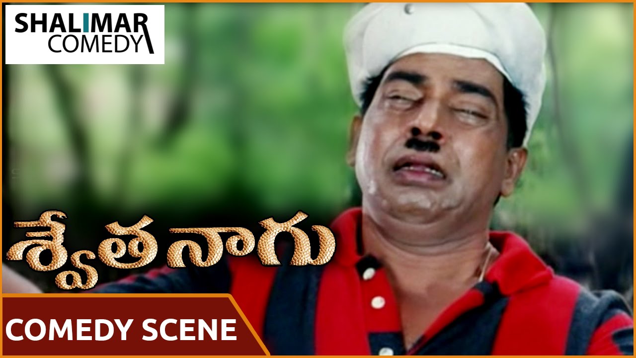 Swetha Naagu Movie || Mallikharjuna Rao Funny Comedy Scene || Soundarya ...