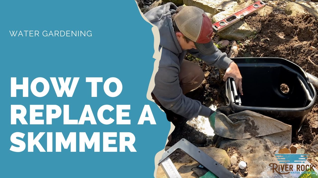 The Ultimate Guide on How to Replace a Skimmer | Koi Fish Pond ...