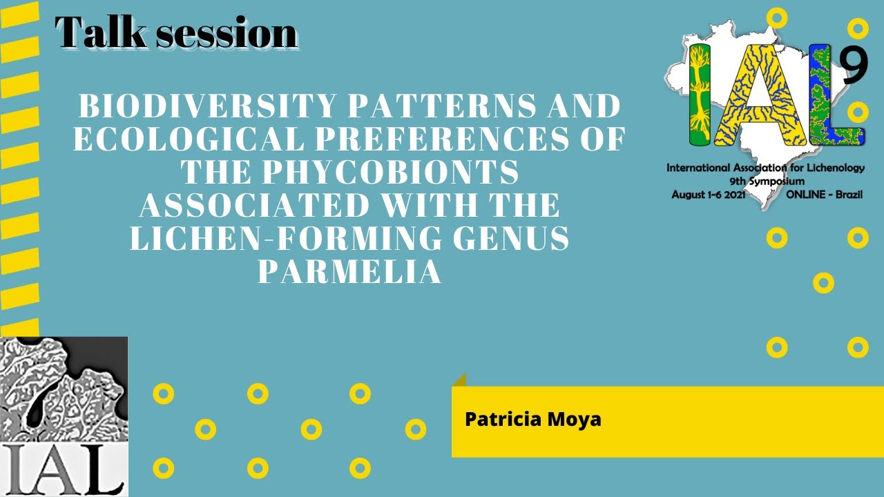 IAL9 - Talk session - Patricia Moya - YouTube