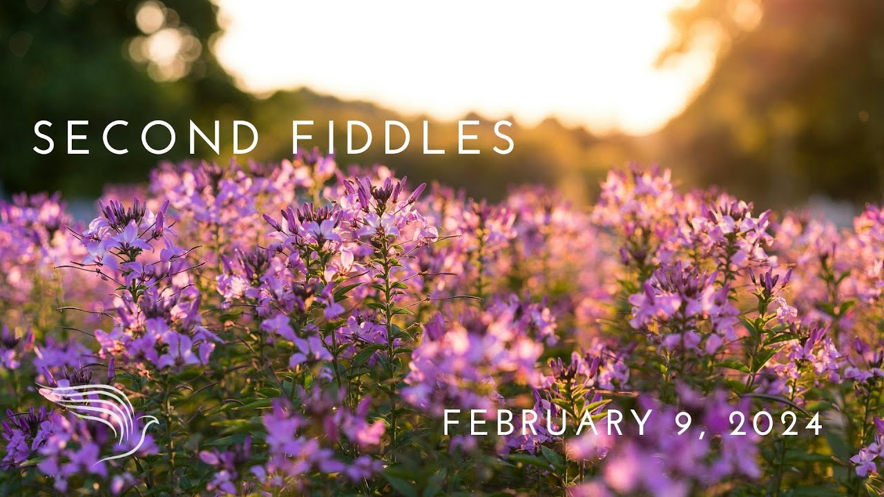 Second Fiddles - YouTube