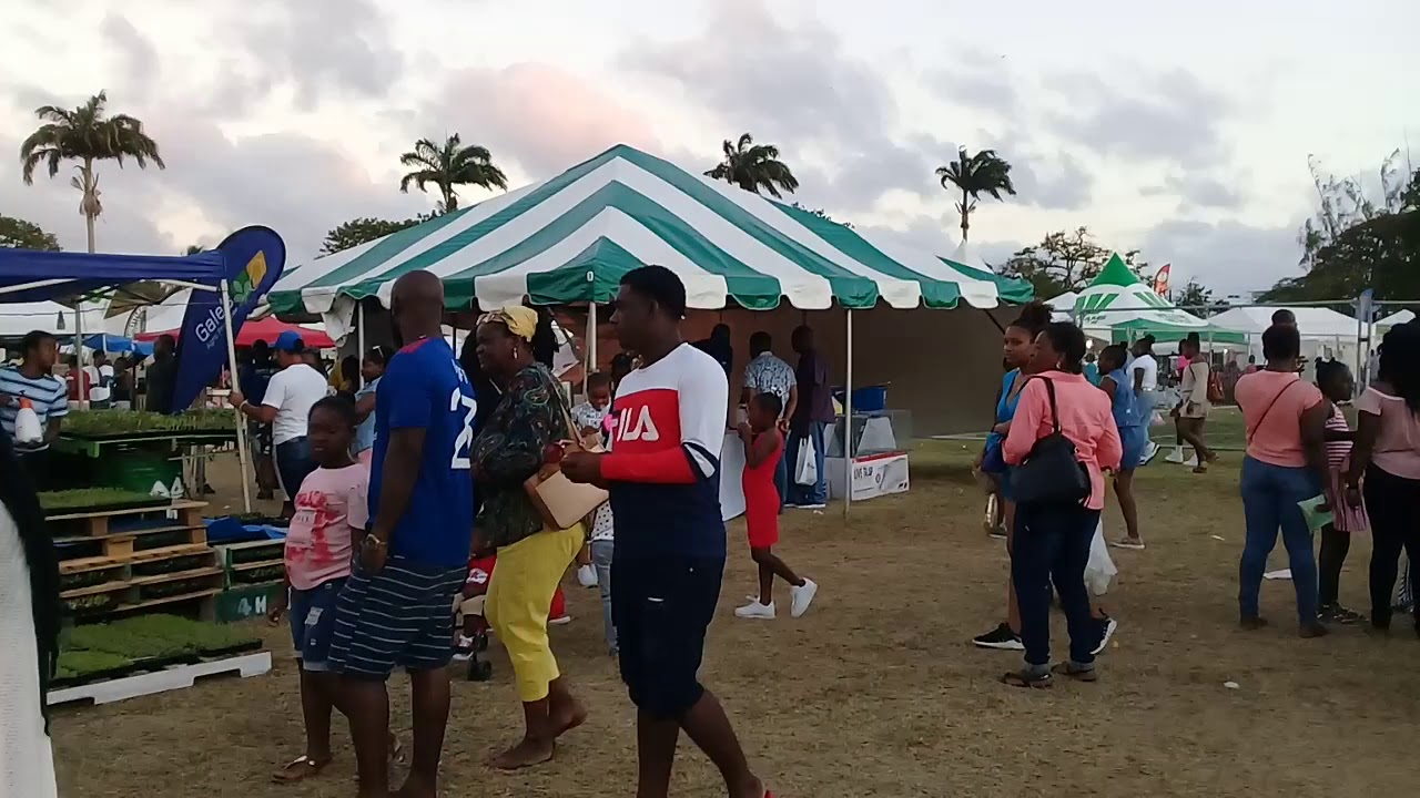 Agrofest 2019 Barbados - YouTube