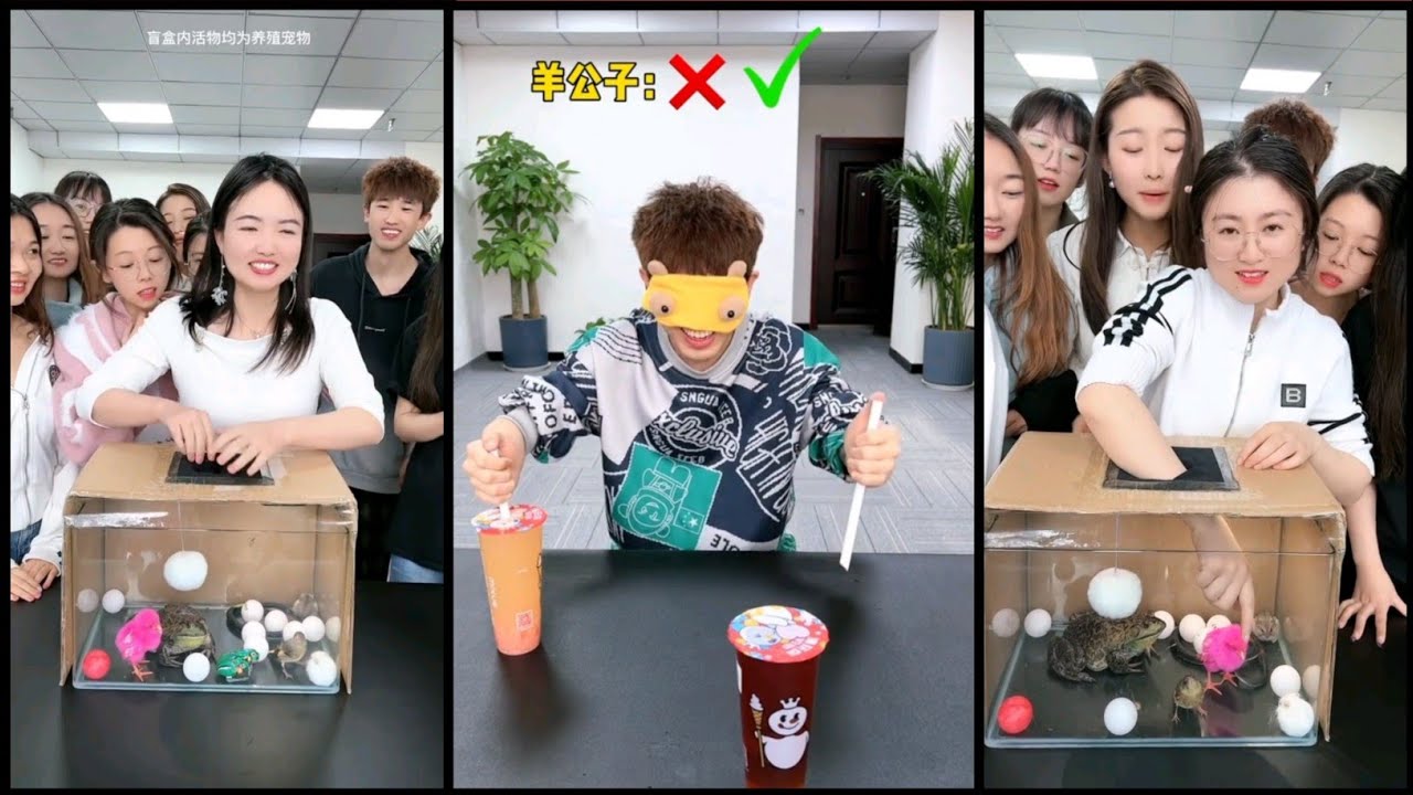 Touch the blind box challenge, haha, it’s so exciting, Live Games ...