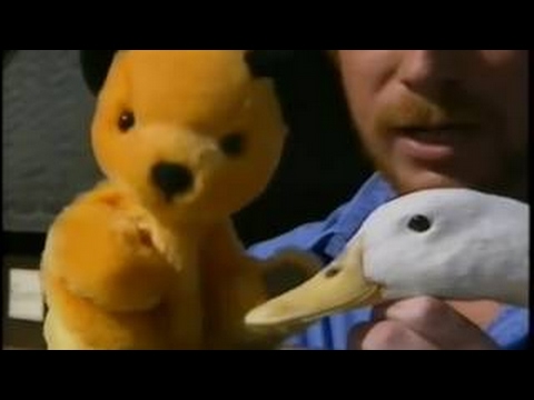 Learn With Sooty Movie A-Z Of Animals Episode Kids TV Shows Full ...