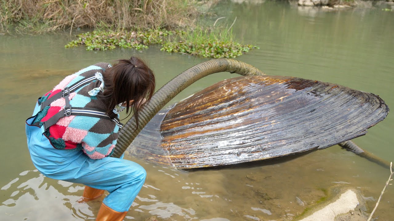😱😱 Hidden Wealth: The girl opens a huge strange river clam, and the ...