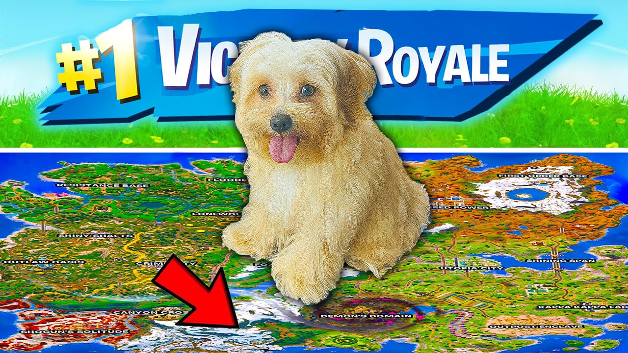 My Puppy CONTROLS My Game in Fortnite! - YouTube