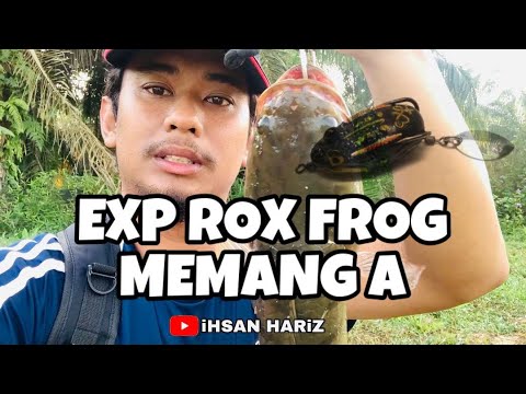 [EXP] ROX FROG | AKSI AKROBATIK - YouTube