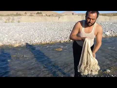 How Much Tape Can Hold a Sumo Wrestler?Subscribe ❤️