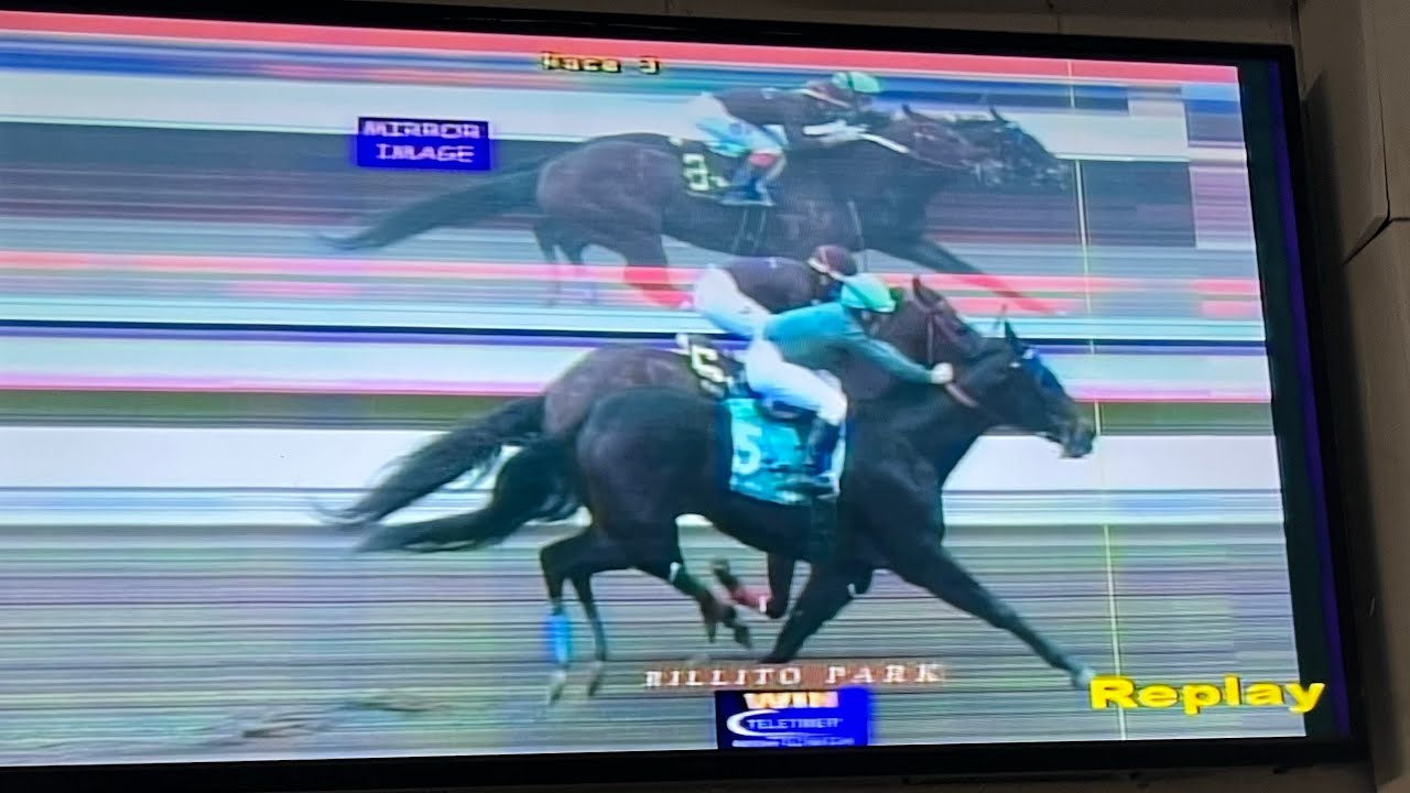 Thrilling Photo Finish At Rillito Park Racetrack! - YouTube