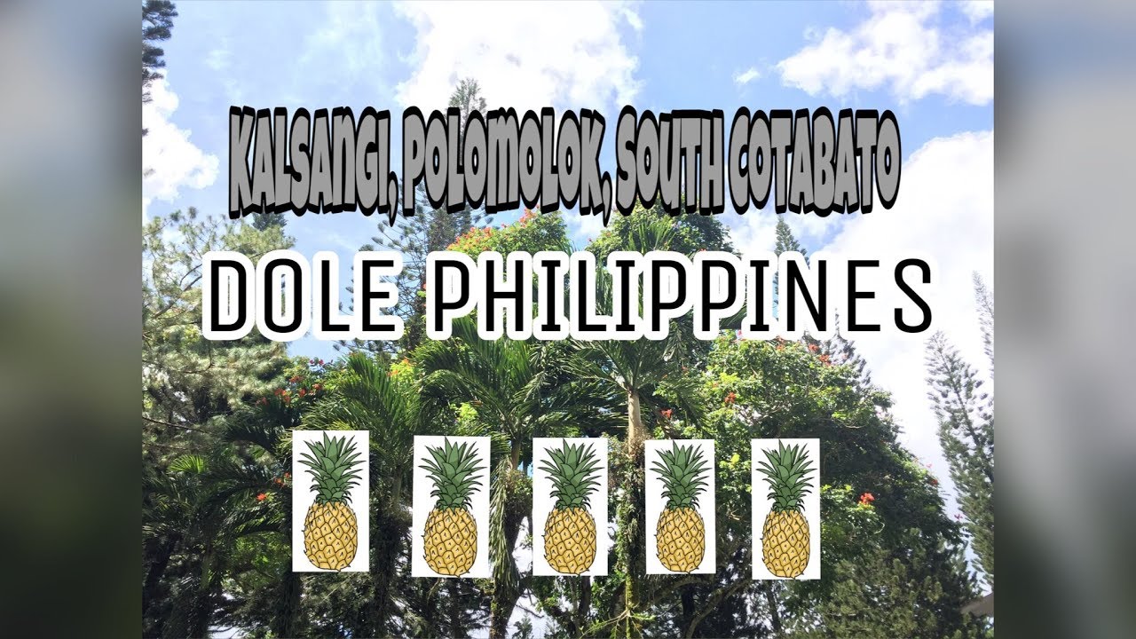 KALSANGI, POLOMOLOK, SOUTH COTABATO | DOLE PH - YouTube