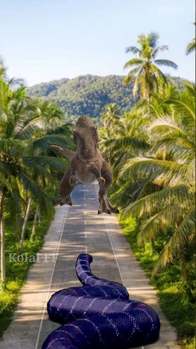 Anaconda Snake Vs Dinosaur T-Rex Fight // Jurassic World Dinosaur Fan ...