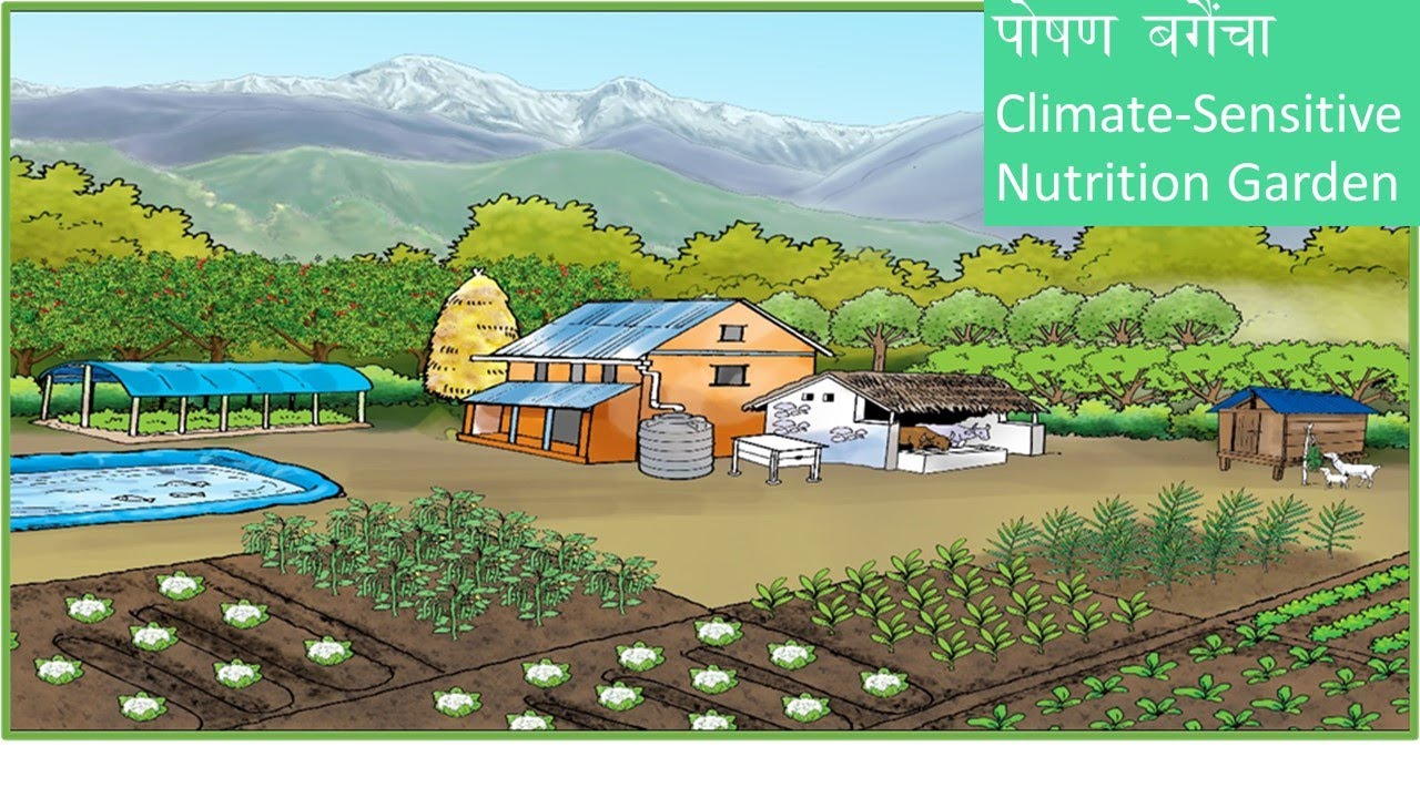 The Climate Sensitive Nutrition Garden-Concept Video - YouTube
