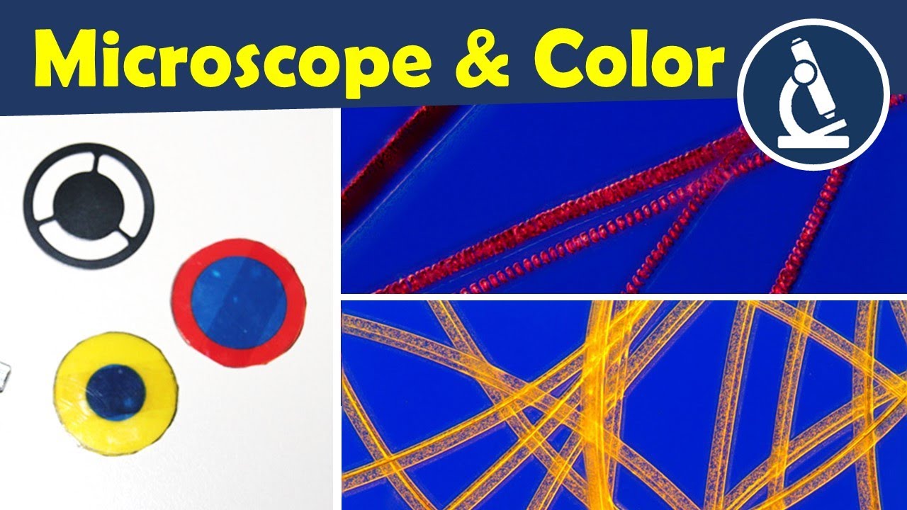Color contrast in microscopy | Optical and chemical staining - YouTube