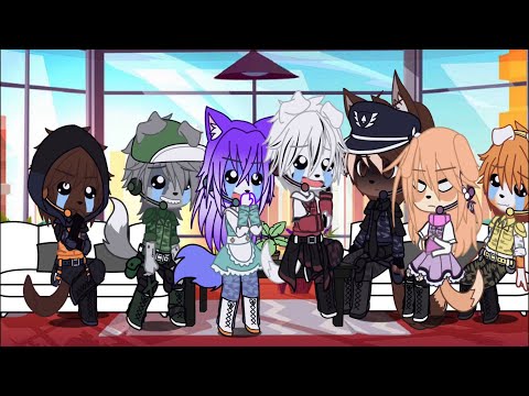 What happened when chase came back: