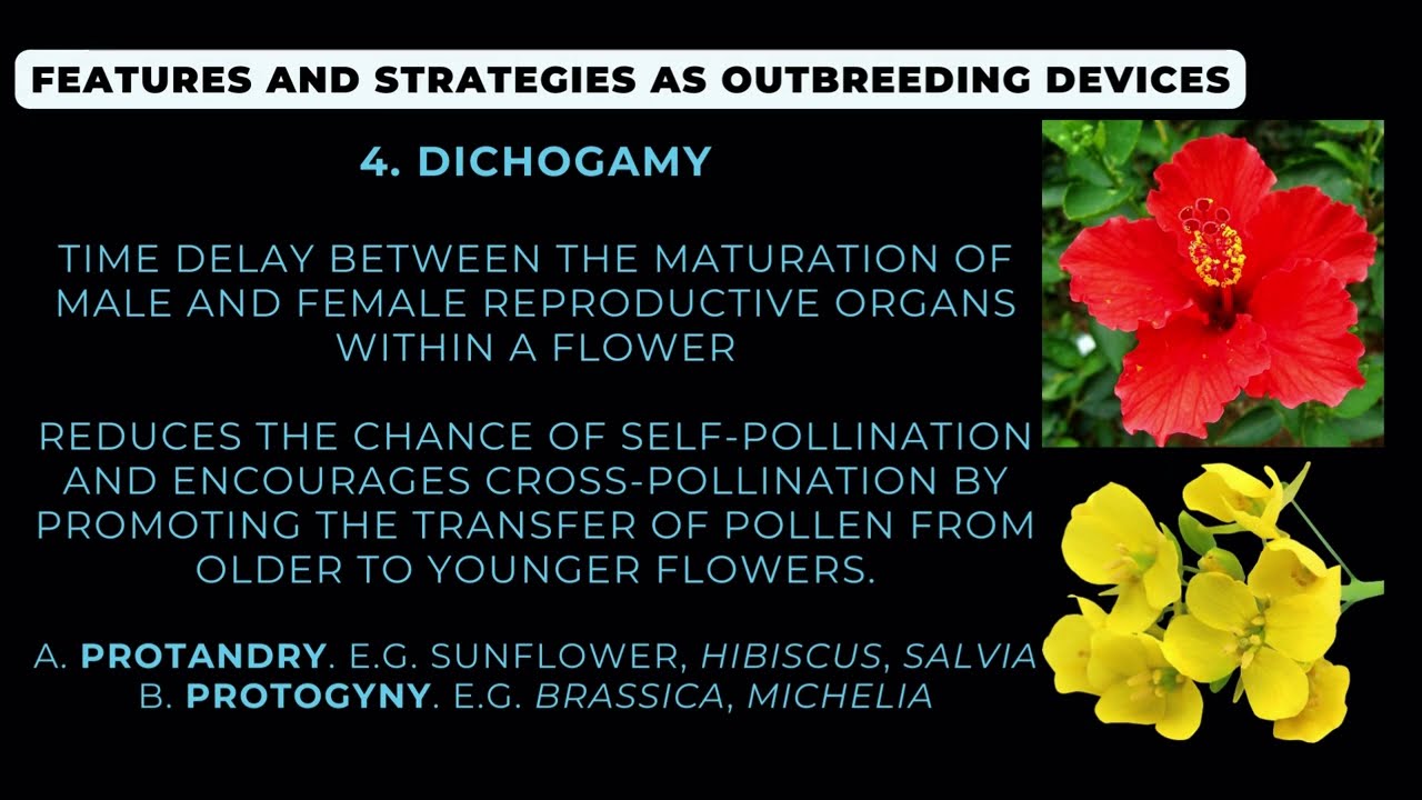 Outbreeding Devices in Plants | Features and Strategies | Benefits to ...