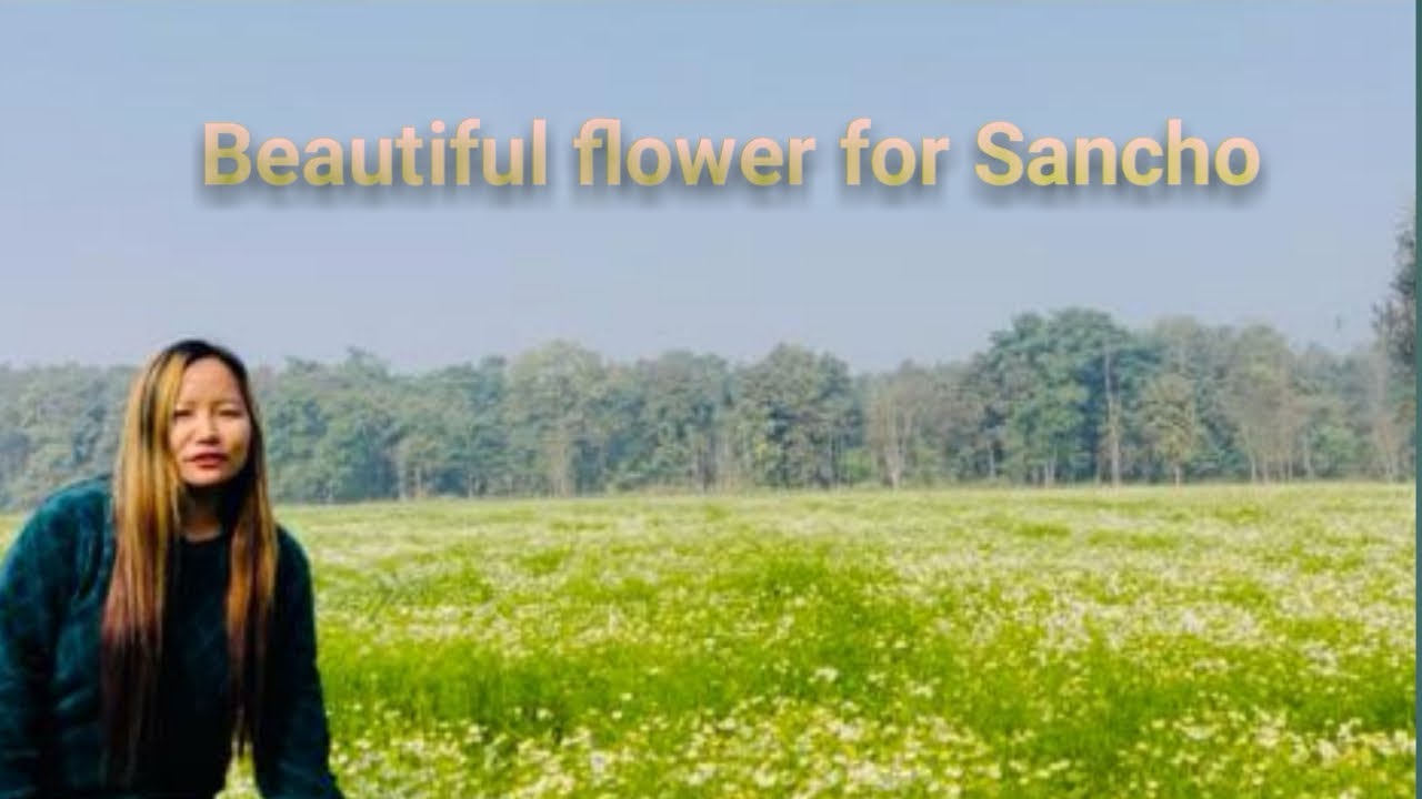 Visiting Sancho Factory in Itaharai Tarahara / Nepali Sancho /सन्चो ...