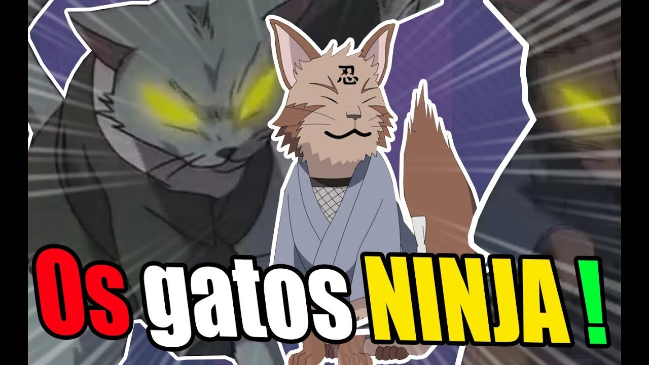Os gatos ninja | Ninneko - YouTube