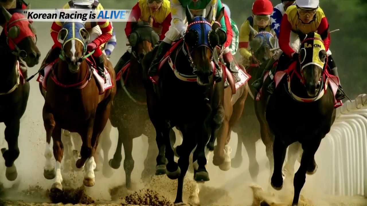 Korean Racing is Alive - YouTube