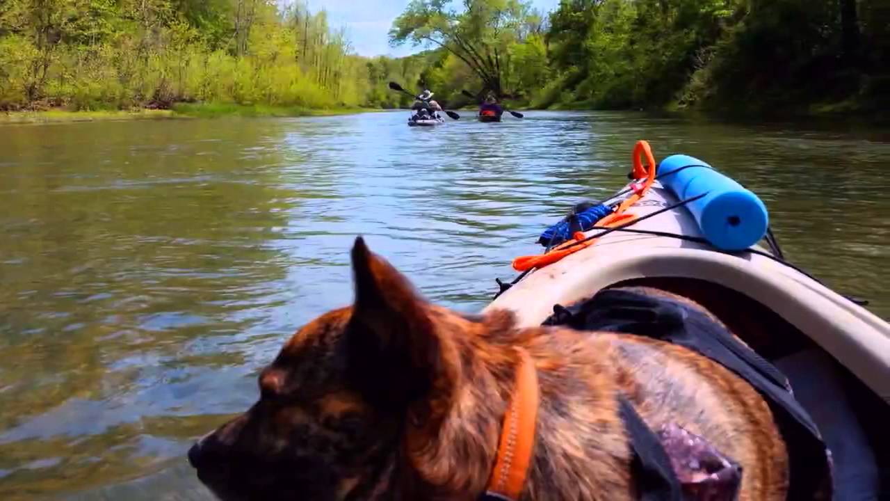 20150425 Kayak Camp 5-Nights on the Current River, Missouri | Google ...