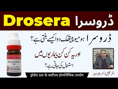 Drosera ڈروسرا ड्रोसेरा Top grade homeopathic medicine and its uses in ...