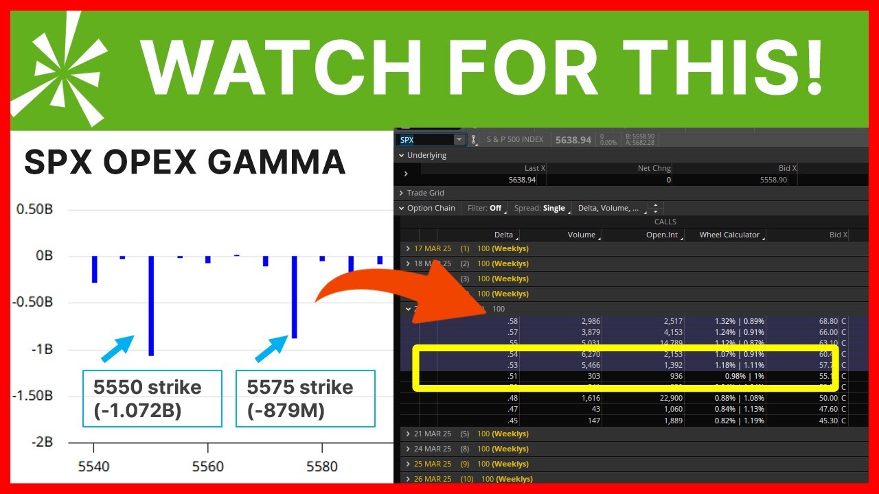 How I’m Trading SPX Gamma Into OPEX Week - YouTube