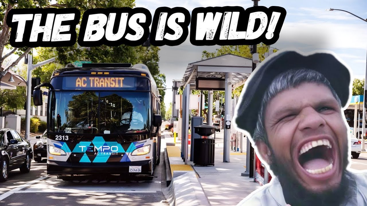 Wild Life Of A City Bus Driver - YouTube