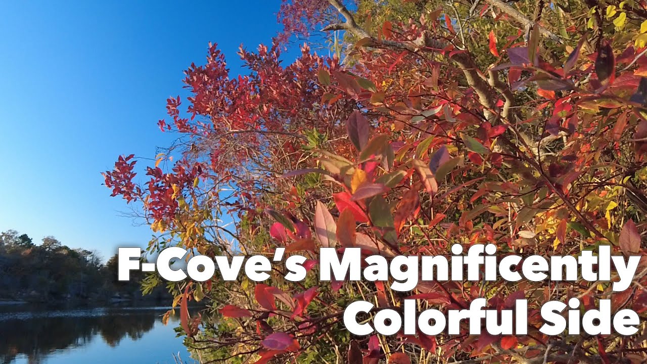 Exploring The 'Other Side' of F-Cove | Barnegat Bay | Jersey Shore ...
