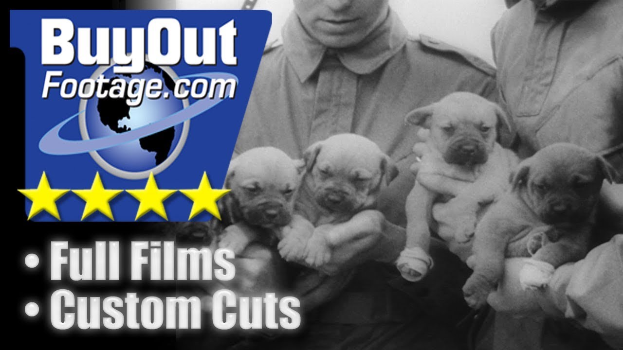 WW2 Paratroop Puppy Mascots Make First Jumps 1943 - YouTube