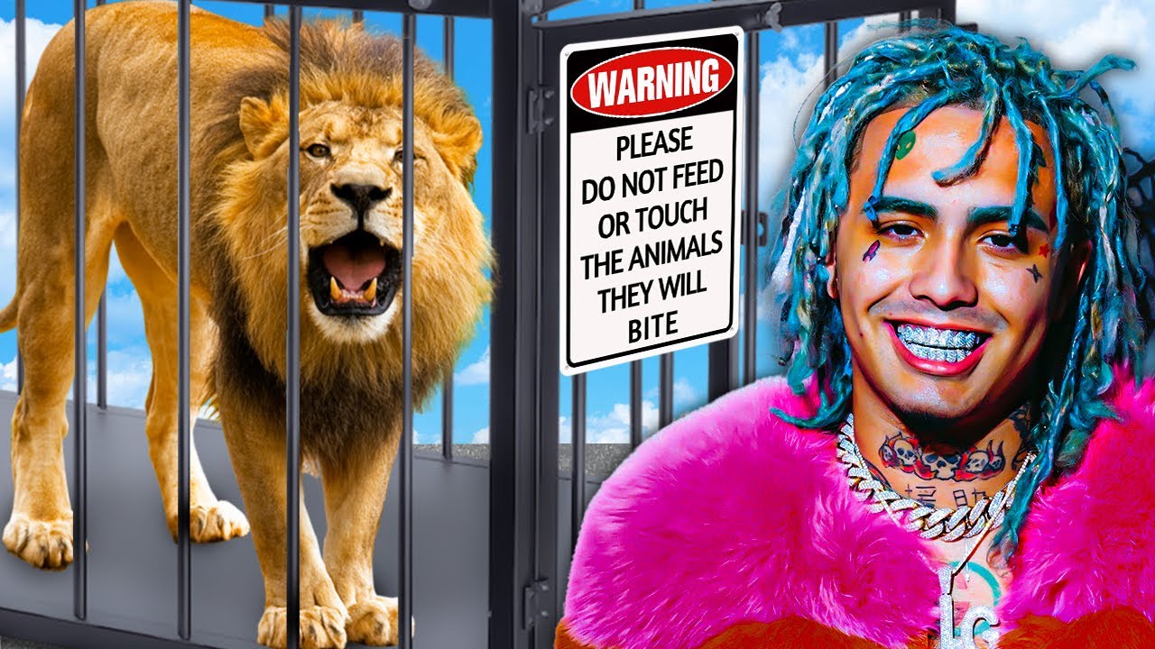 Buying Lil Pump A Pet Lion - YouTube